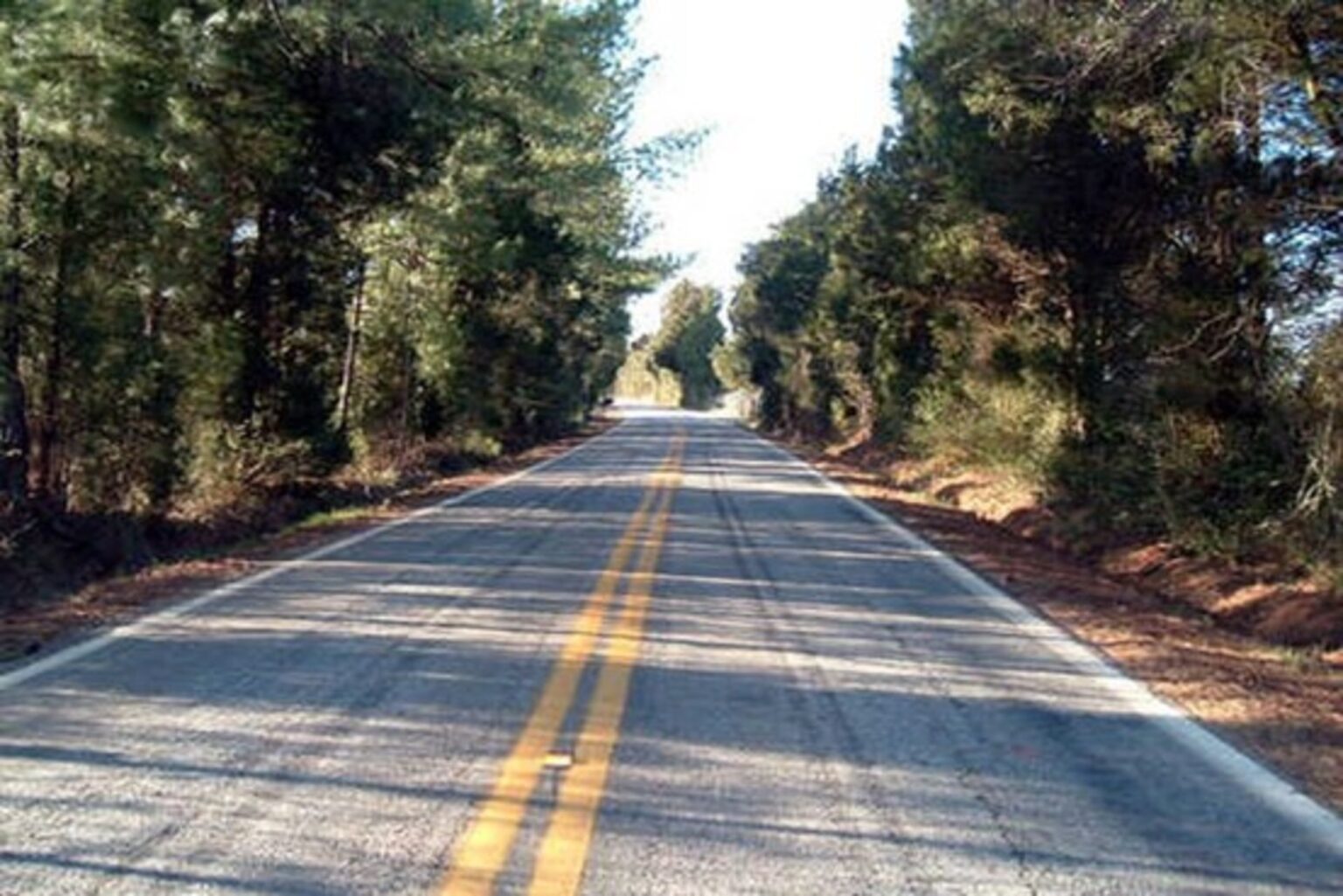 Taking A Drive – Other Scenic Drives in South Carolina