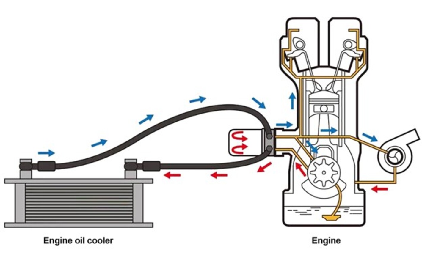 Importance of Engine Oil Cooling - Classic Auto Advisors